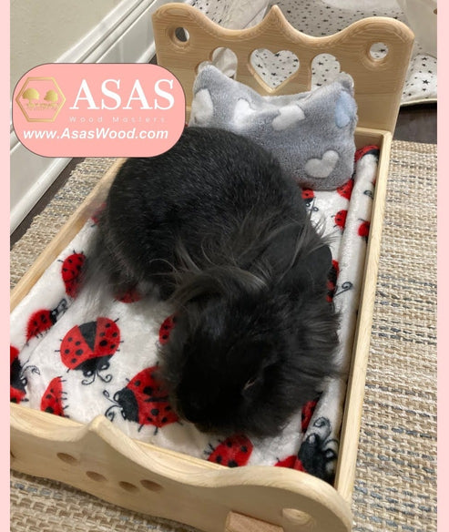 Rabbit Bed ️ Bunny Bed ️ from Kiln Dried Pine – AsasWood
