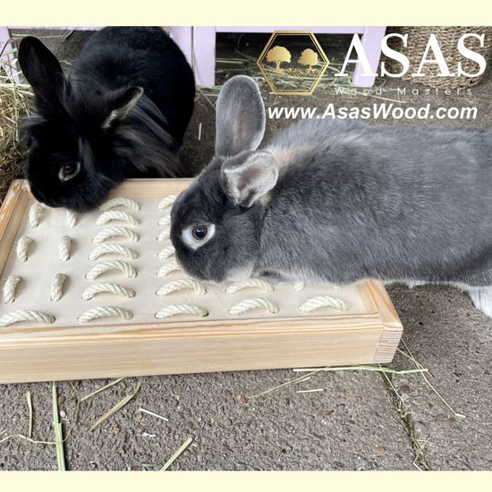 Rabbit Digging Box ️ Wooden Bunny Dig Toy with Sisal Rope | Rabbit ...