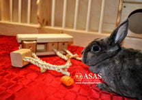 Bunny Rabbit Logic game ️ rabbit wooden toy with Sisal Rope – AsasWood