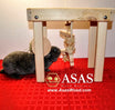 Rabbit Play Table, Activity zone ️ ️ ️ – AsasWood