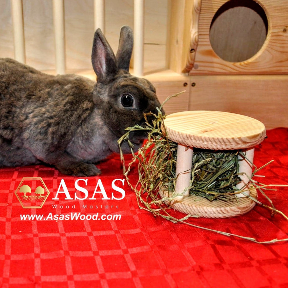 Pet Rabbit Toys, Guinea Pig Toys, mini hay holder – AsasWood