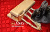 Bunny Rabbit Logic game ️ rabbit wooden toy with Sisal Rope – AsasWood